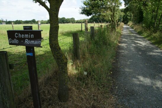 En temps et lieue – Tirer La Langue